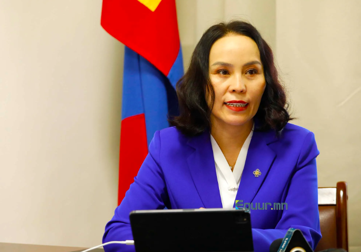 Vip76 Mn Ц Мөнхцэцэг Төсвийн таналт төрийн байгууллагуудын чадавхид сөргөөр нөлөөлөх вий