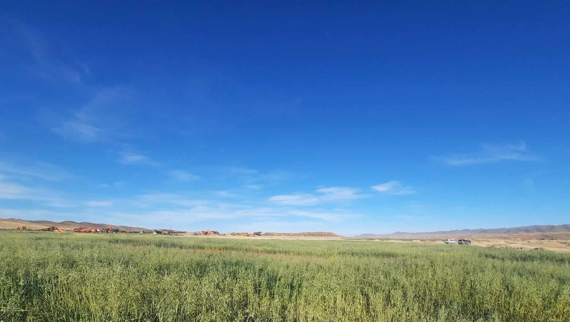 Vip76 Mn Уул уурхайн чиглэлээр үйл ажиллагаа явуулж байсан 64 5 га талбайд нөхөн сэргээлт хийлээ